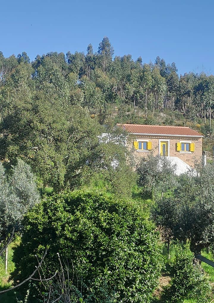 Casa De Campo Numa Aldeia Do Centro De Portugal - Belver