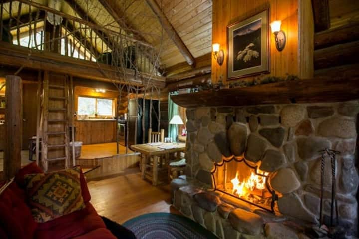 Tamarack Cabin-wellspring Spa - Ashford, WA