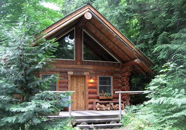 Tamarack Cabin-wellspring Spa - Ashford, WA
