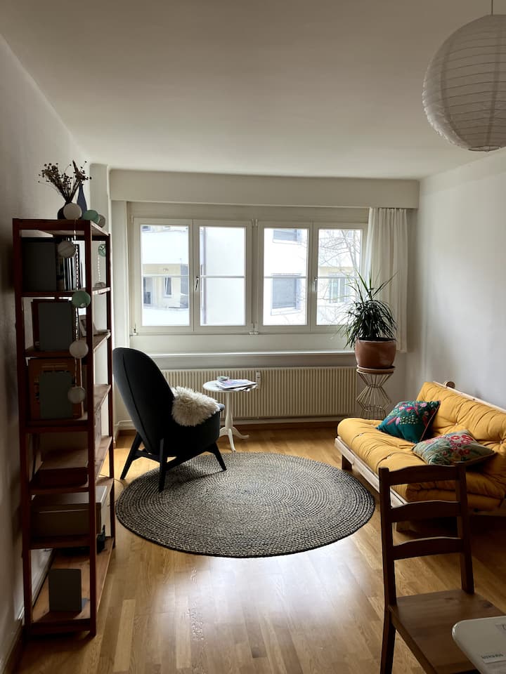 Grossräumige 2-zimmerwohnung - Basel