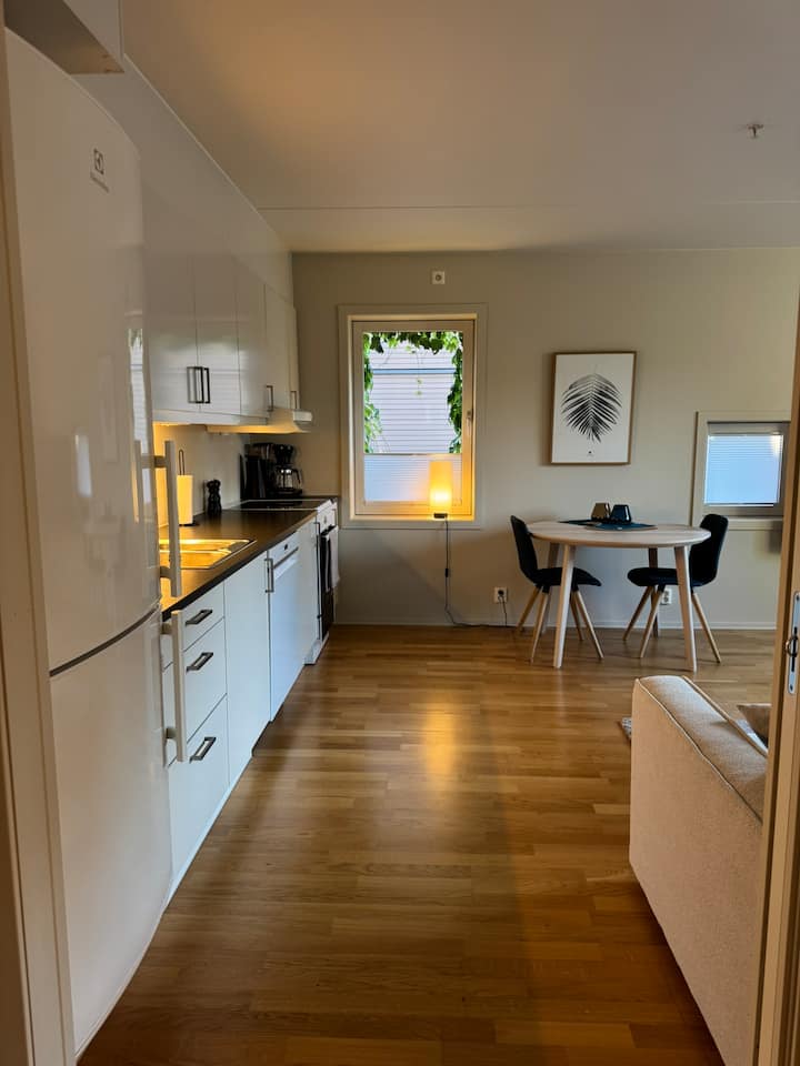 Leilighet I Oslo - Oslo