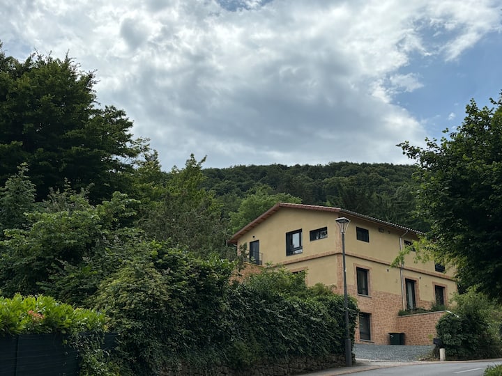 Vaste Logement Familial Entre Lyon Et Nature - Rhône