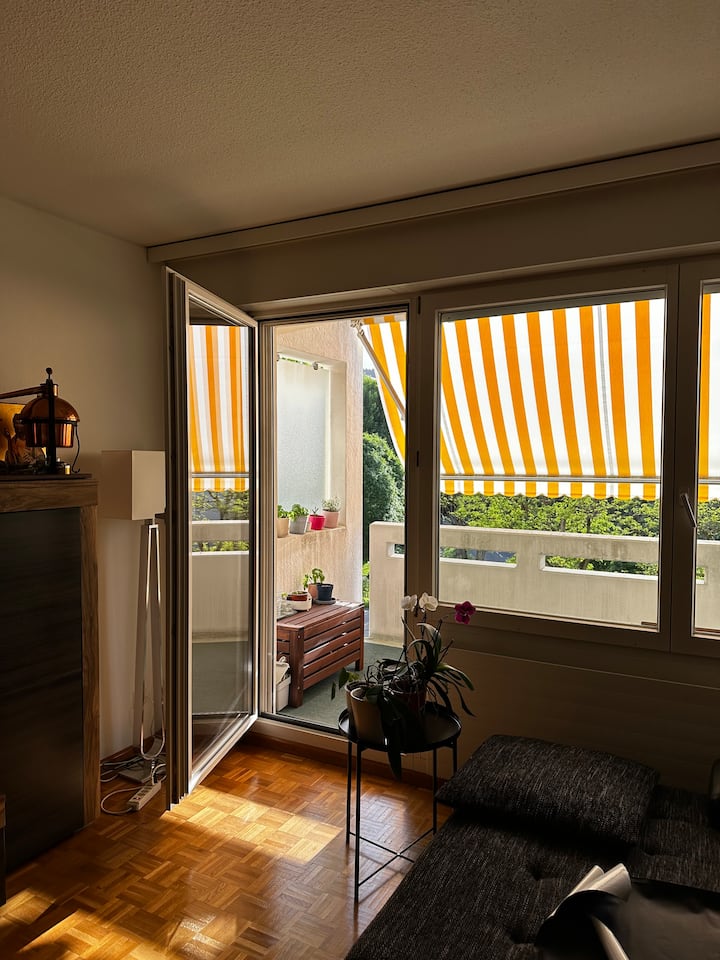 Spacious And Comfortable - Zúrich