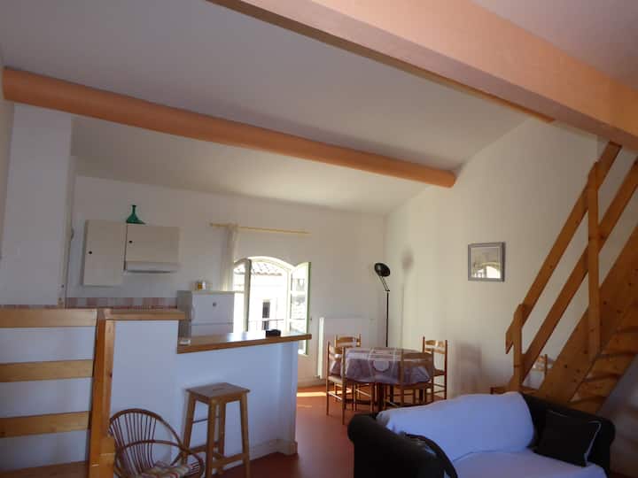 Appartement, Piscine, (3 /4 Prs) - Uzès