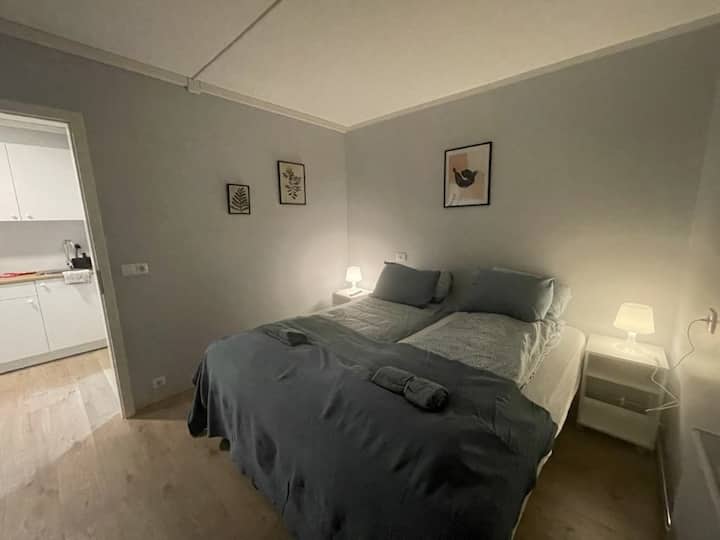 Graenatun-guesthouse - Reykjavík
