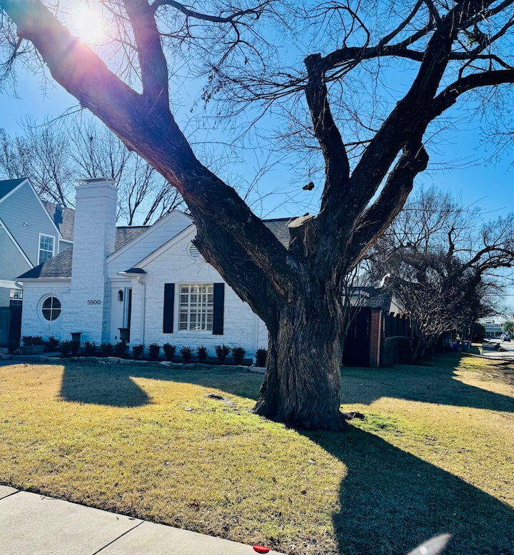 Modern Loft Guest House W/ Art, Style & Comfort - Dallas, TX