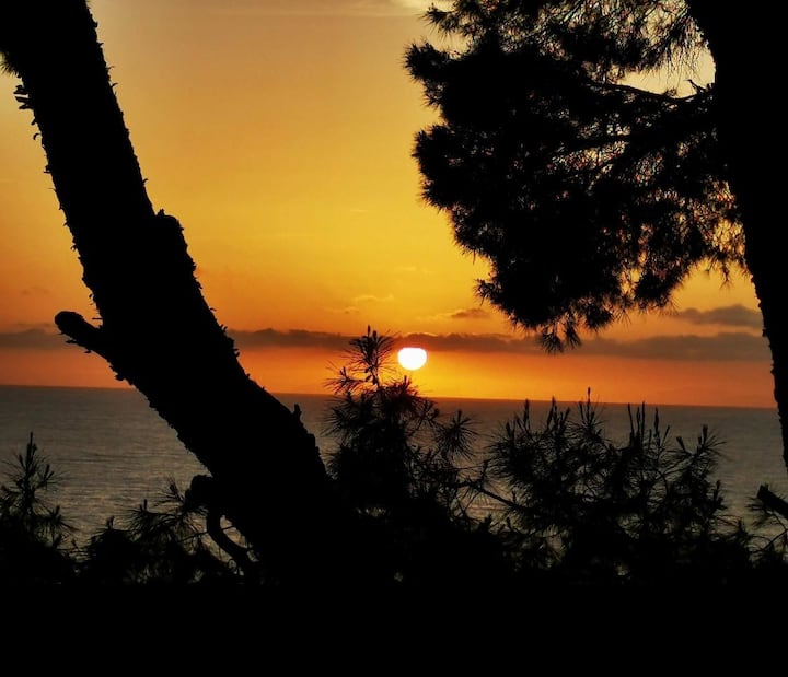 Casamiacasadicharme(leucosia) - Castellabate