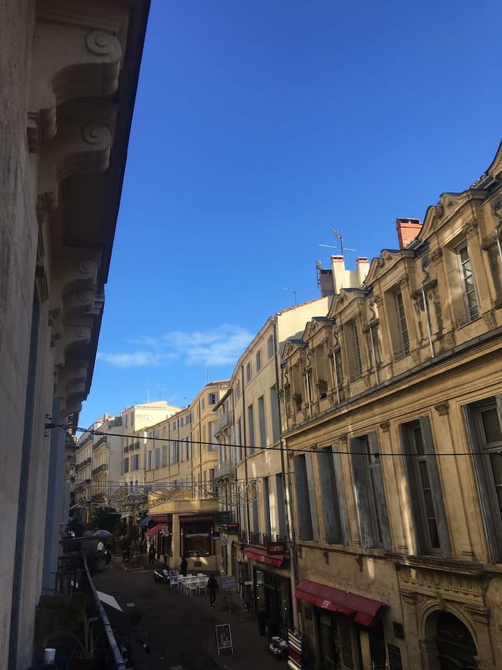Grand Appartement De 110 M2´ - Montpellier