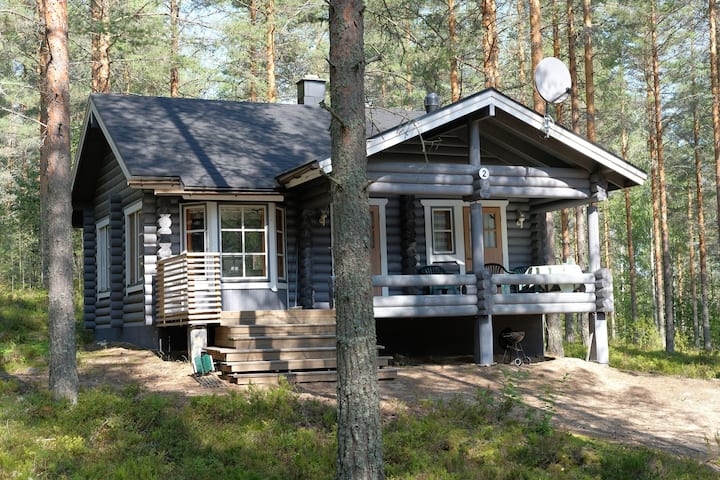 Villa With Sauna #2 - Puumala