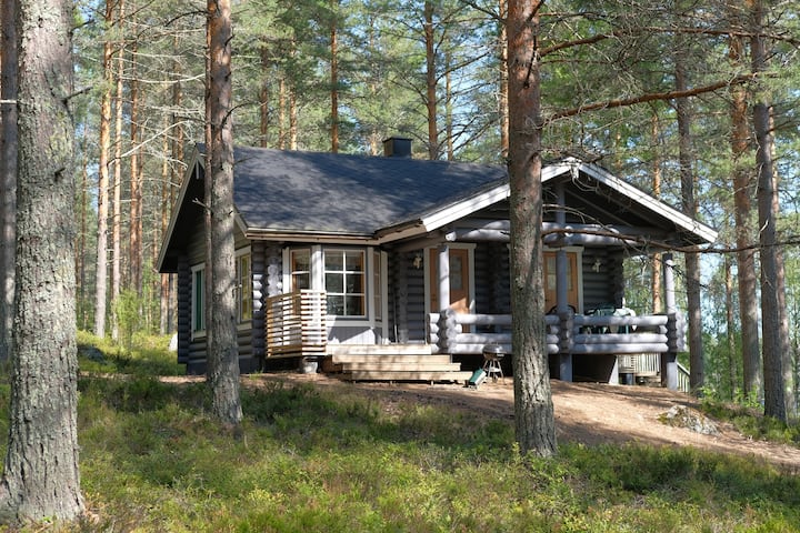 Villa With Sauna #3 - Puumala