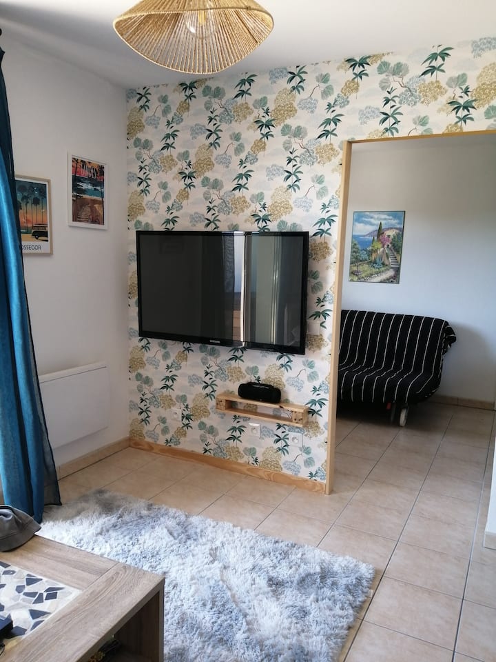 Appartement T2 Balcon - Soustons