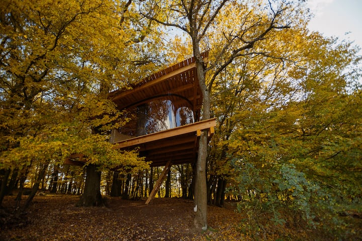Treehouse - Tschechien