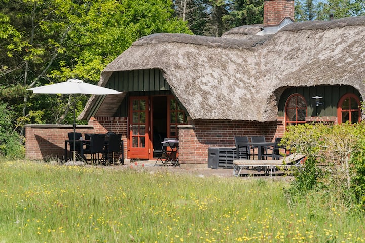 Sommerhus Ved Hav Og Skov - Denmark