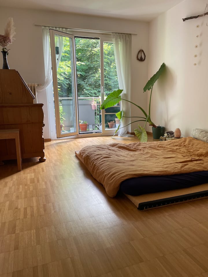 Comfy Appartment In Lucerne - Lucerne