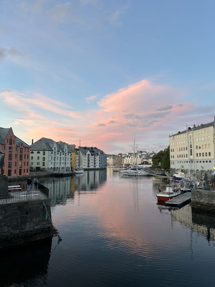 Sentral Leilighet I ÅLesund - Alesund
