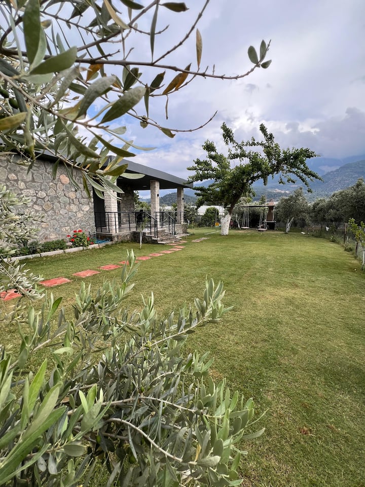 Fethiye Taşev - Ören