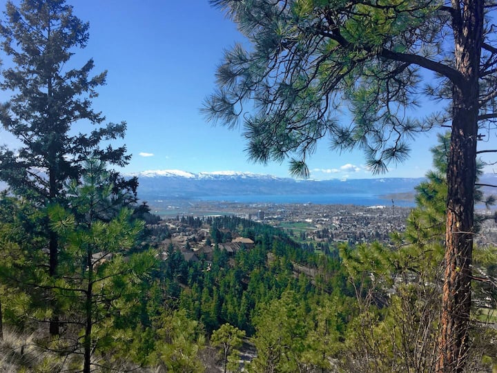 New Calm & Cozy Kelowna Mountain Retreat - Kelowna