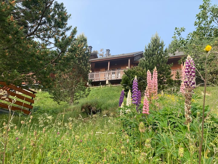 Chalet Montagne - Les Angles