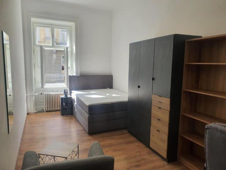 Central 6 Bedroom Apartment - Krems an der Donau