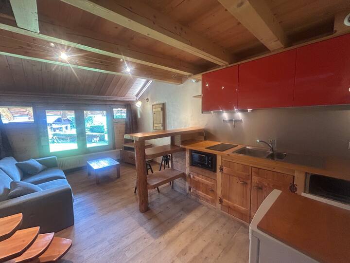 Chouette Appartement - Bourg-Saint-Maurice