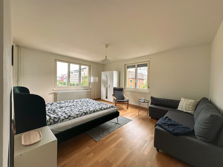 Central Flat In Vibrant Zurich – Special Rate - スイス チューリッヒ