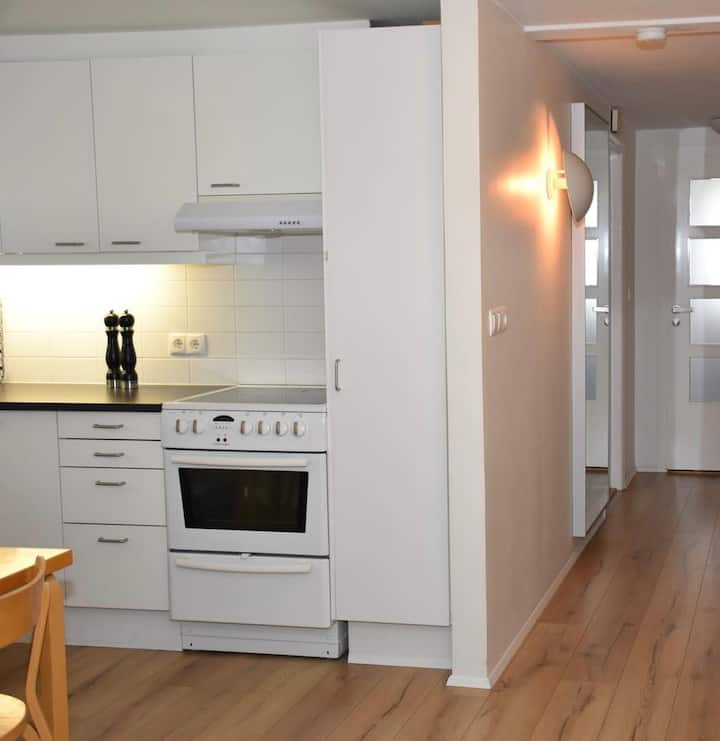 Family Home In The City - Rejkiawik
