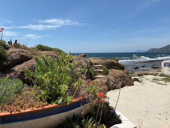 "Tamaris", Bord De Mer, 6 Pers, Wifi, Calme - Hyères