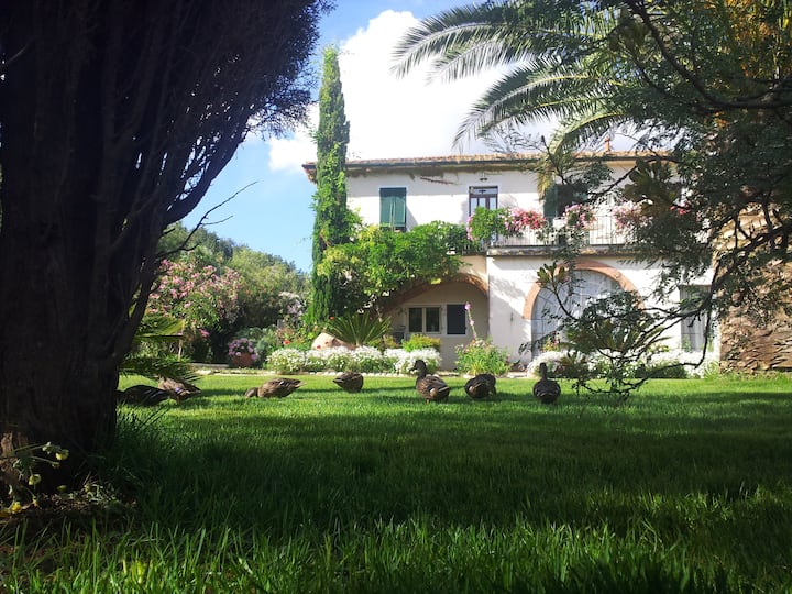 " La Loggia " - Portoferraio