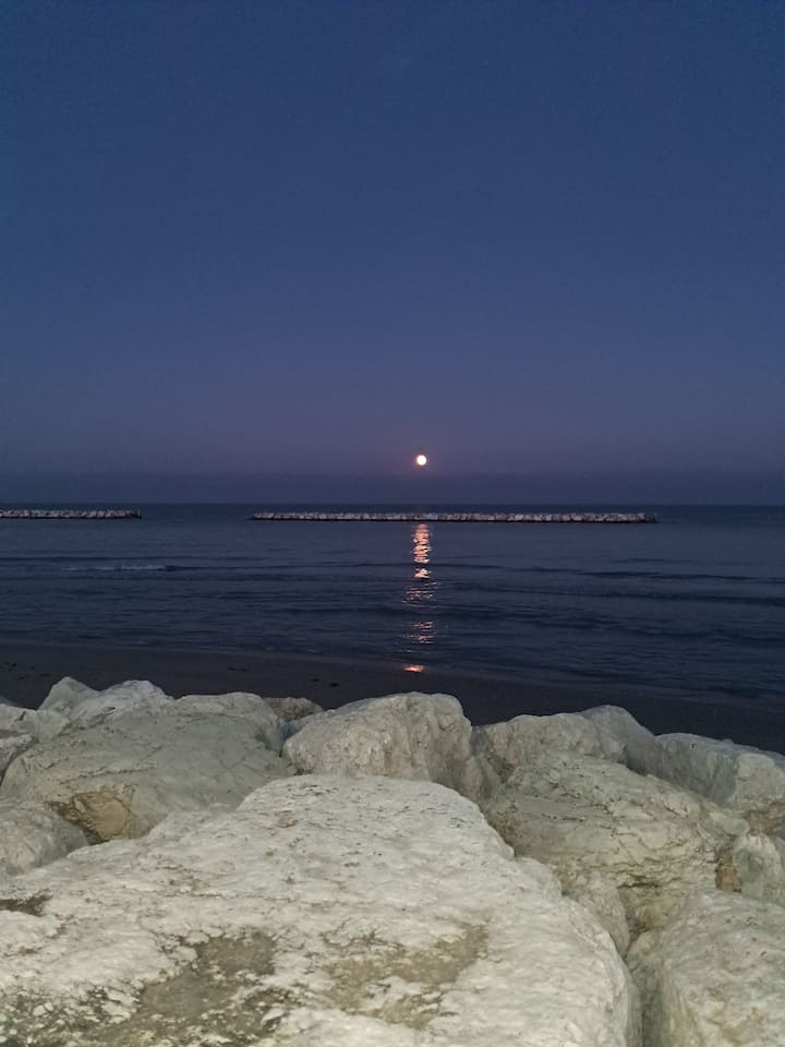 Estate 2025 - Porto San Giorgio