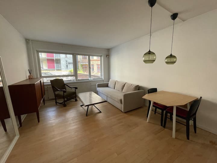 Cozy Studio Near Metro. Sleeps 2 - Copenhague