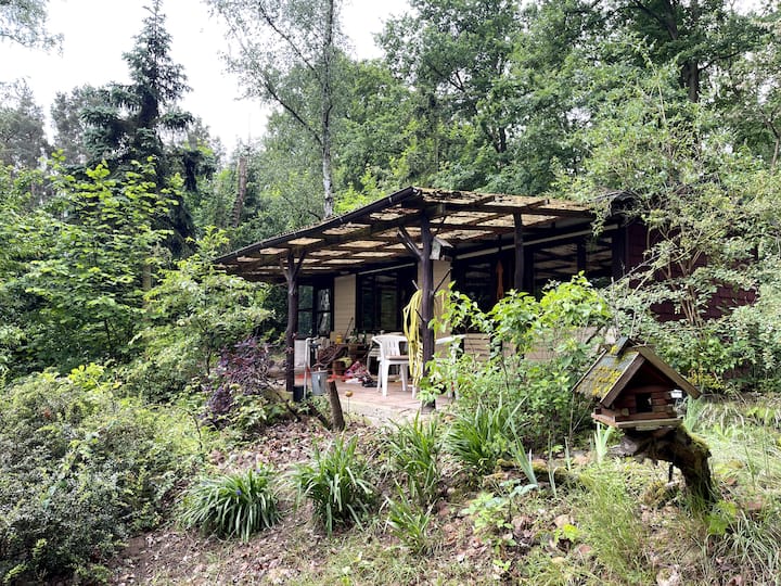 Private Cabin & Garden Near Lake - 波茨坦