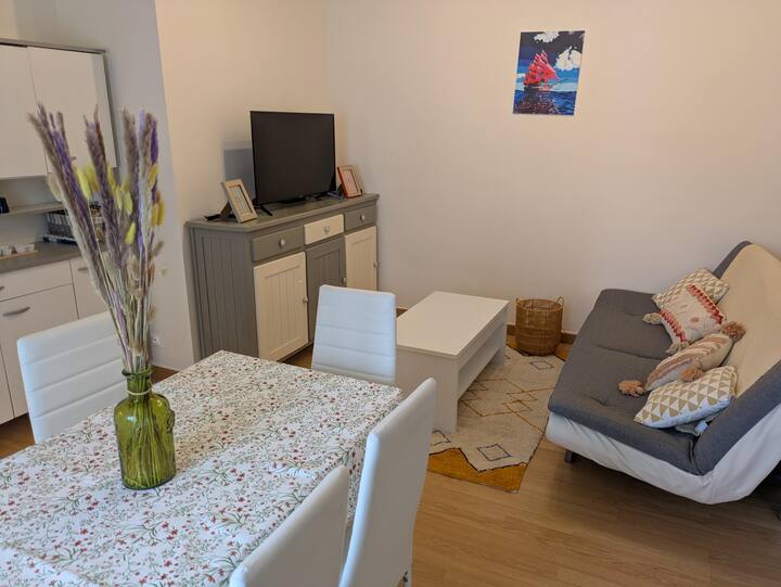 Grand Appartement Plouescat - Plouescat