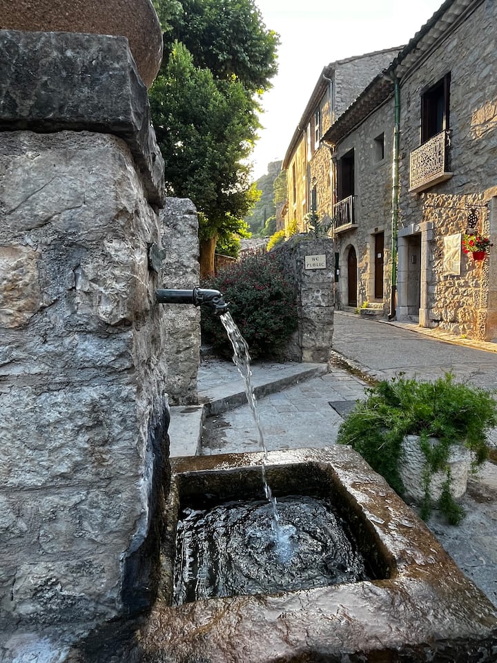 "La Maison De Faustin" - Saint-Guilhem-le-Désert