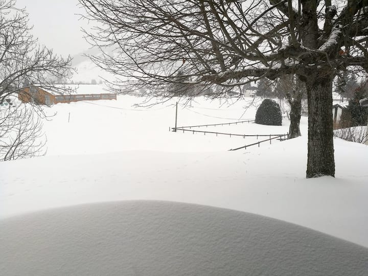 Chalet - Terrasse Sud - Ski Fond - Méaudre