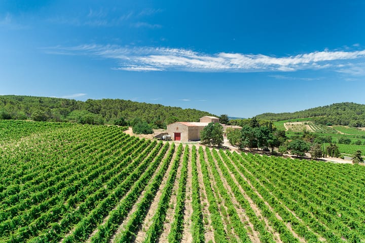 Prax Viel,piscine,mini Ferme, Climatisé-gîte Syrah - Lagrasse