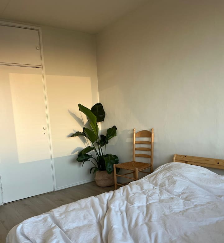 Light And Breezy Summer Stay - The Hague