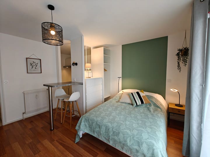 T1 Bis Rénové Grenoble + Parking - Grenoble