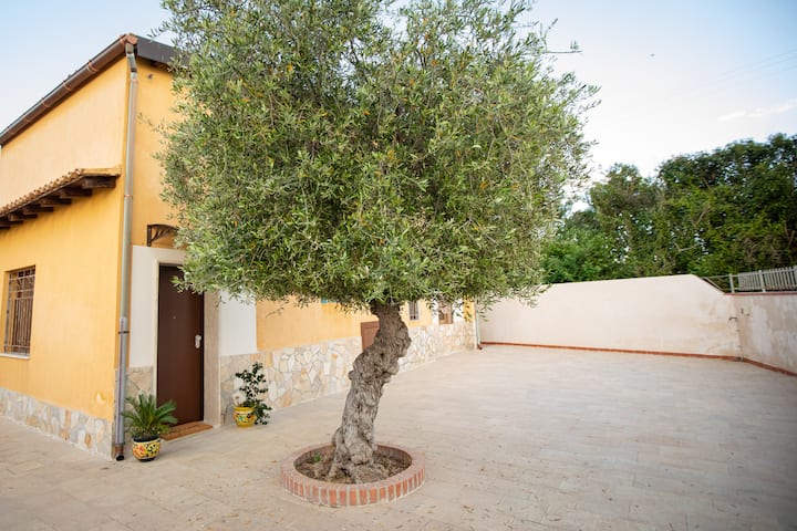 Villa Nikla - Zona Mare, Fanusa - Intera Villa - Belvedere