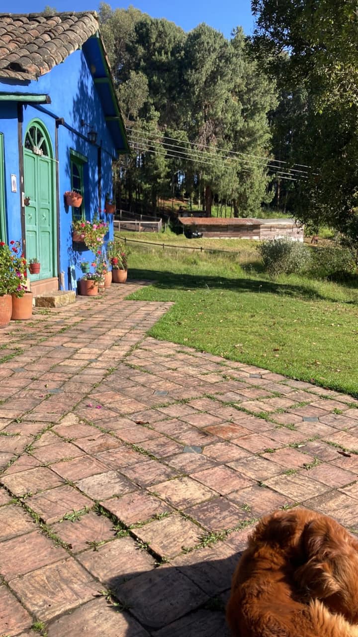 Santa María Del Camino - El Rosal