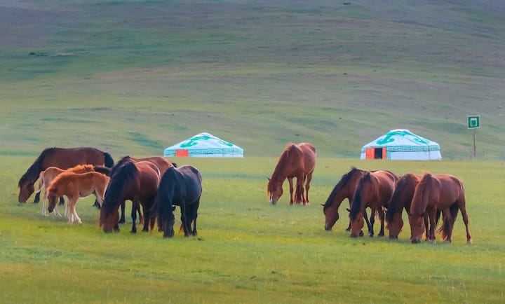 Malchin Camp-home Stay 1 - Mongolia