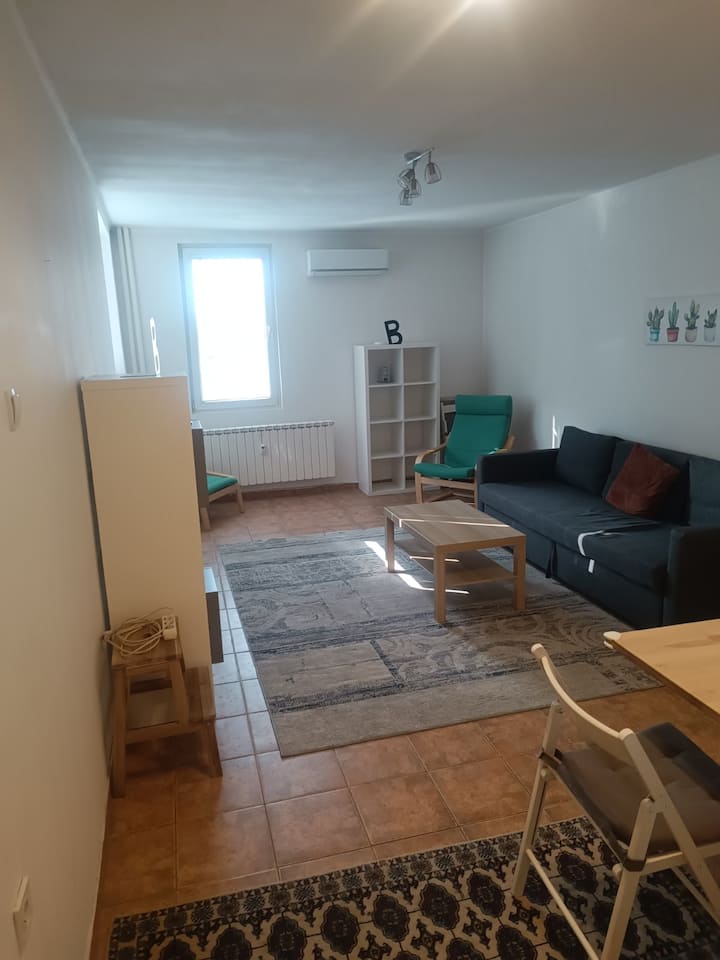 Entire Two-room Apartment - Sofia