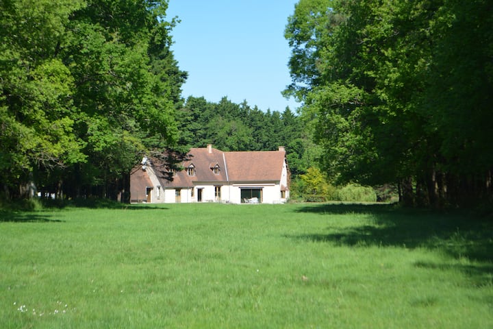 Nature, Calme, Sérénité - Châtellerault