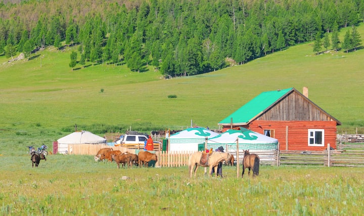 Malchin Camp-home Stay 16 - Mongolia