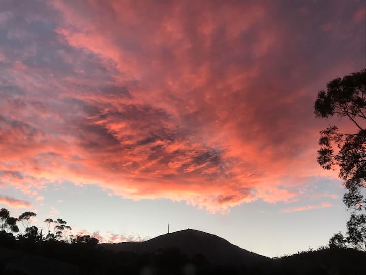 Tiny Fern Studio - Kingston