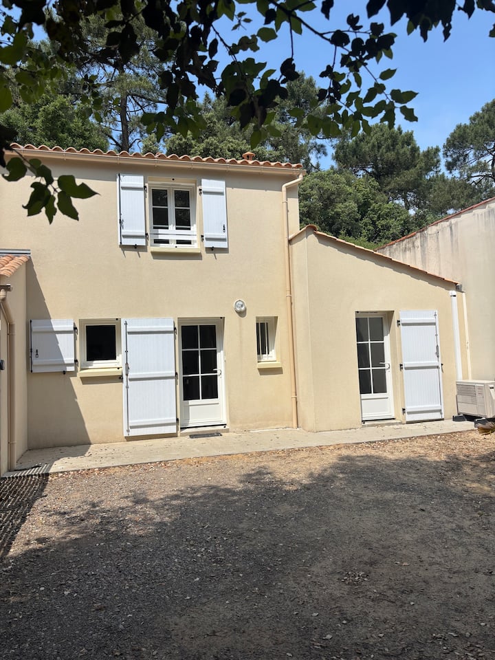 Ragounite - Talmont-Saint-Hilaire