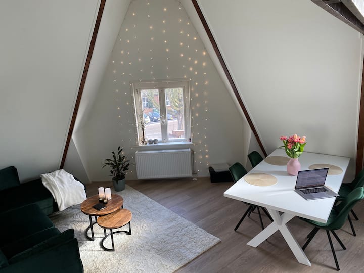 Bright Apt With Terrace, Center - Zaandam