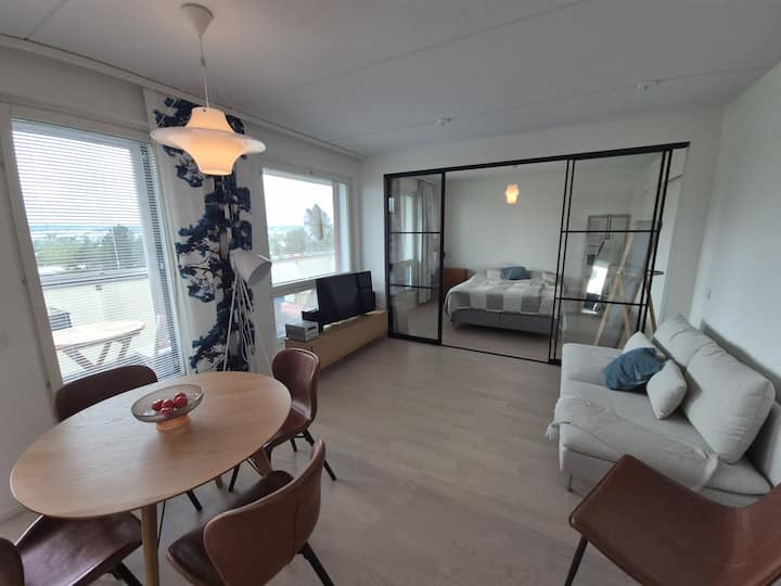 Kaksio Järvinäkymä -3km Keskusta - Jyväskylä