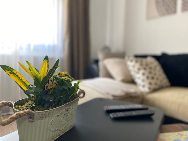 Zöld Ajtó Apartman - Szeged