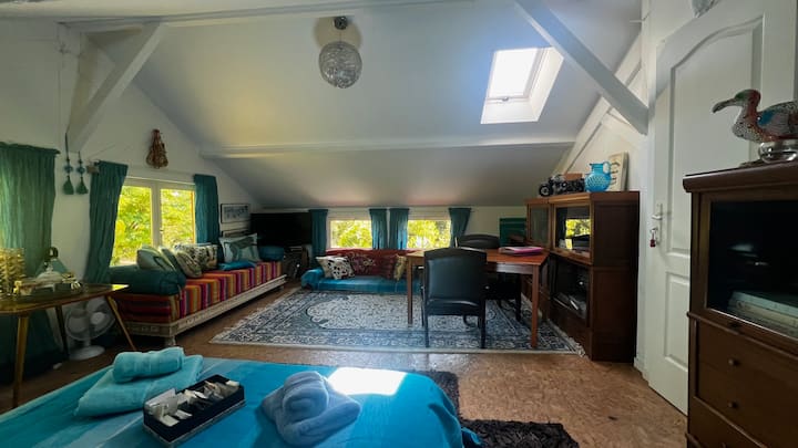 Le Loft Et Les Pins - Lacanau