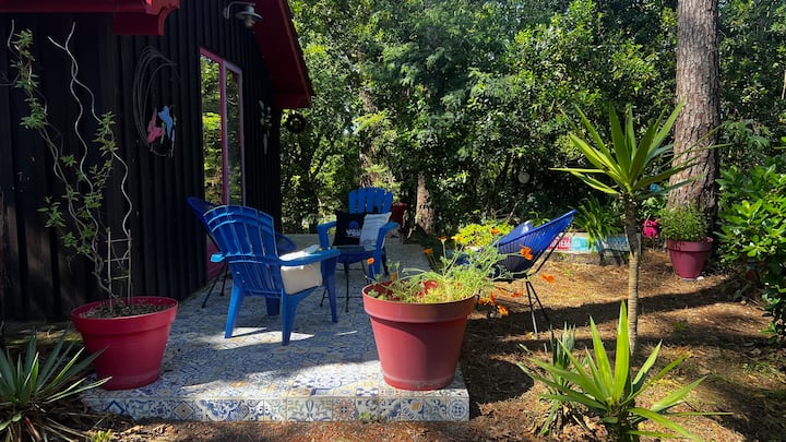 Le Cabanon Et Les Pins - Lacanau Océan